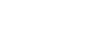 Woltman Water Meter – Intellimeter Canada Inc.