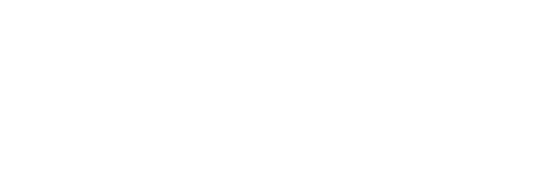 Woltman Water Meter – Intellimeter Canada Inc.
