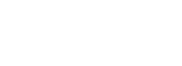 Woltman Water Meter – Intellimeter Canada Inc.